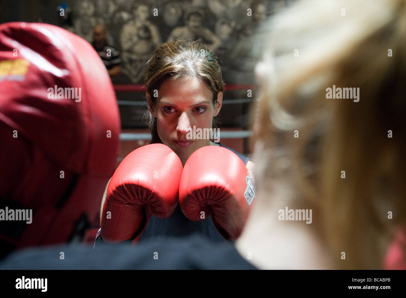 Female boxer training at the gym Stock Photo - Alamy