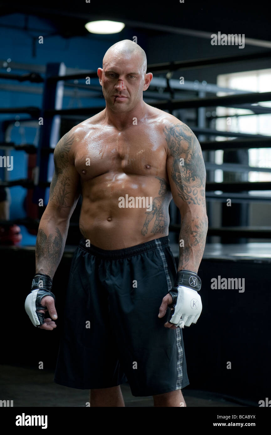 Ultimate fighting hi-res stock photography and images - Alamy