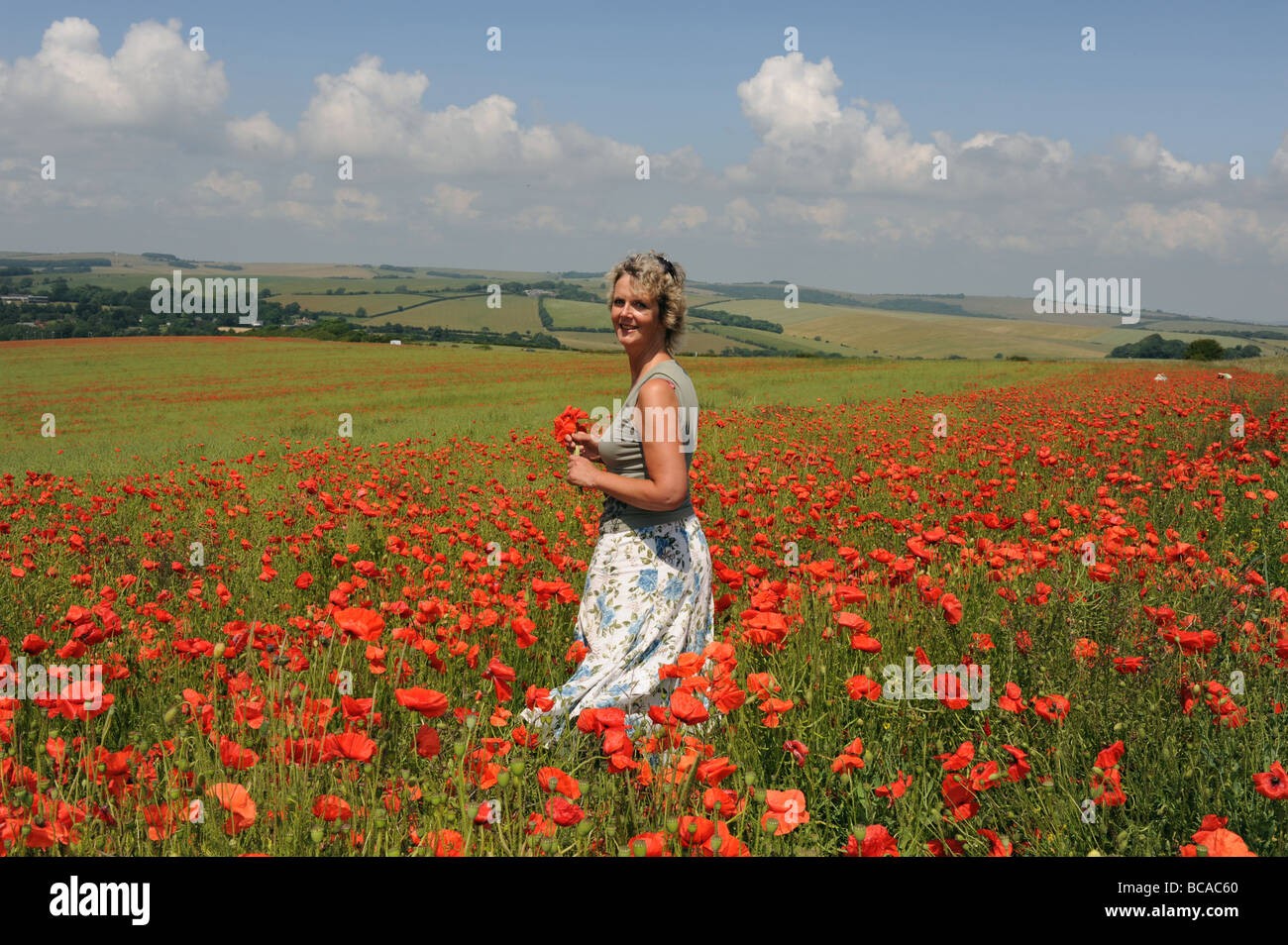 Blonde woman standing in a poppy field just north of Brighton at Falmer ...