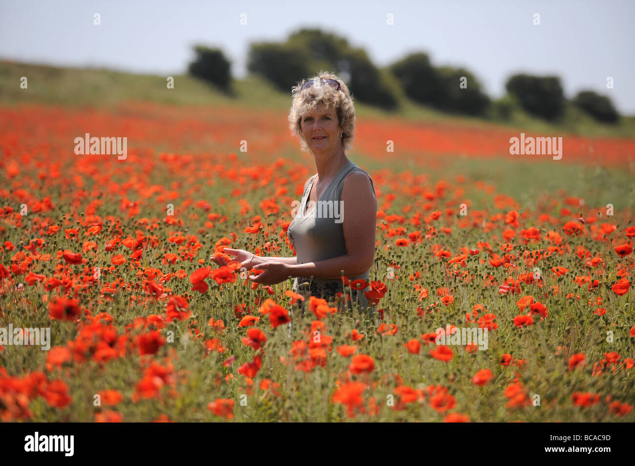 Woman walking through a poppy field hi-res stock photography and images ...