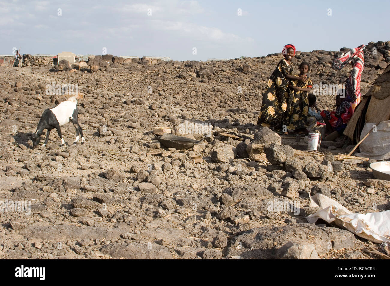 Nomadic pastoralists in Elidar, Afar region, Ethiopia Stock Photo - Alamy