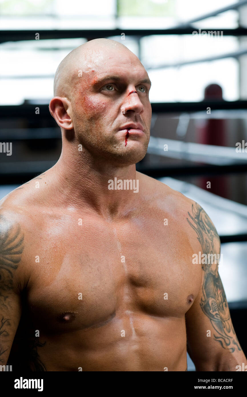 Ultimate fighting hi-res stock photography and images - Alamy