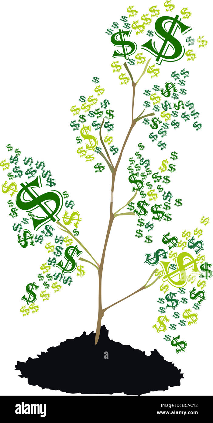 There is a tree of dollar symbol growing vector Stock Photo - Alamy