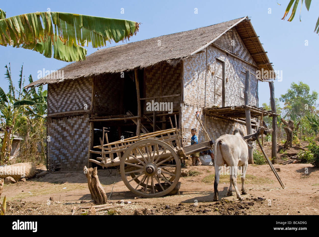 Traditional burmese house hi-res stock photography and images - Alamy