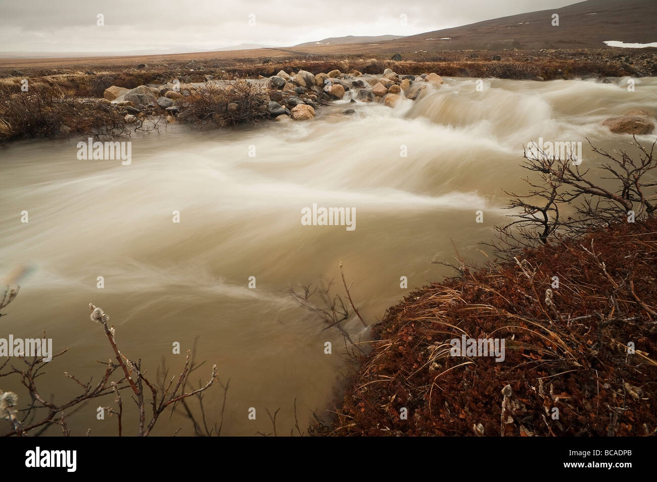A FAST MOVING STREAM ON THE ALASKAN TUNDRA Stock Photo - Alamy