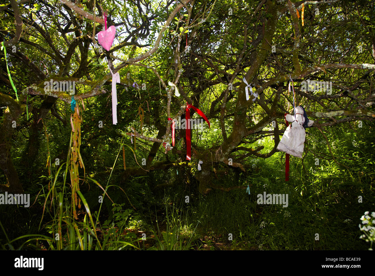Holy well cornwall hi-res stock photography and images - Alamy