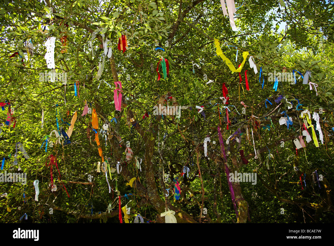 Holy well ribbons hi-res stock photography and images - Alamy
