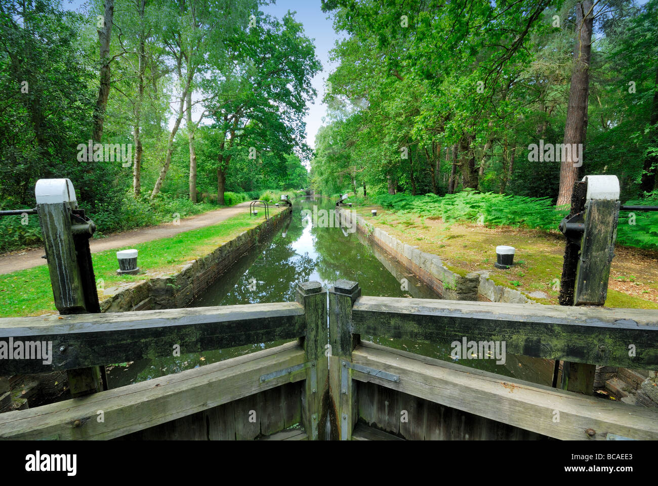 Wooded canalside hi-res stock photography and images - Alamy