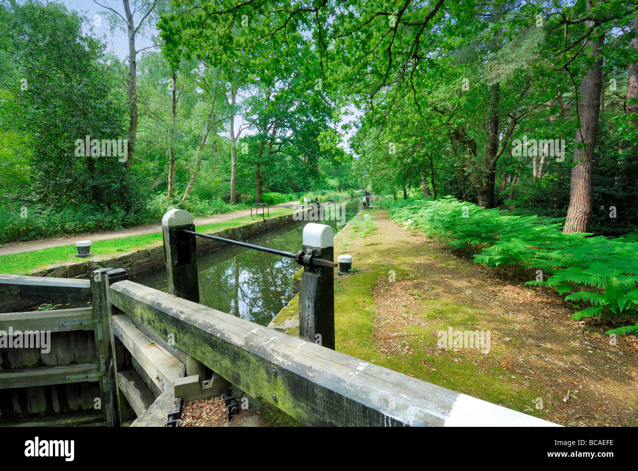 Brookwood surrey hi-res stock photography and images - Alamy