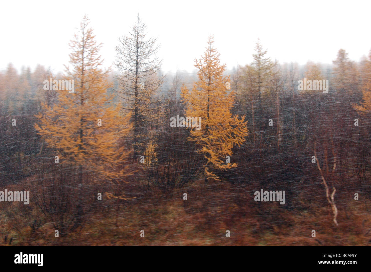 West of urals hi-res stock photography and images - Alamy