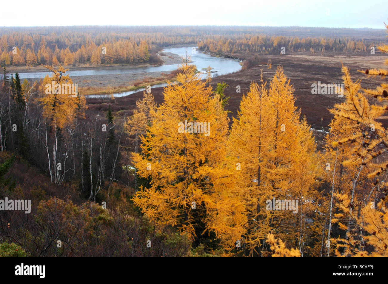 Yamal Peninsula, Tyumen region, North of West Siberia, Russia Stock ...