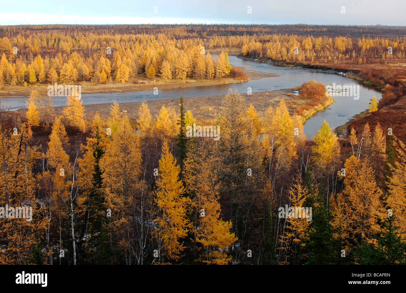Yamal Peninsula, Tyumen region, North of West Siberia, Russia Stock ...