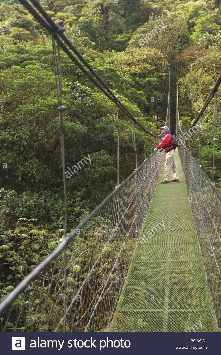 Canopy walk costa rica hi-res stock photography and images - Alamy