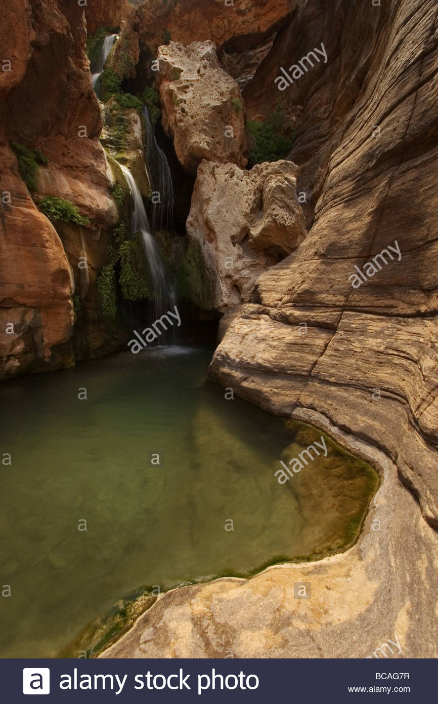 Waterfall at Elve's Chasm, Grand Canyon, Arizona Stock Photo - Alamy