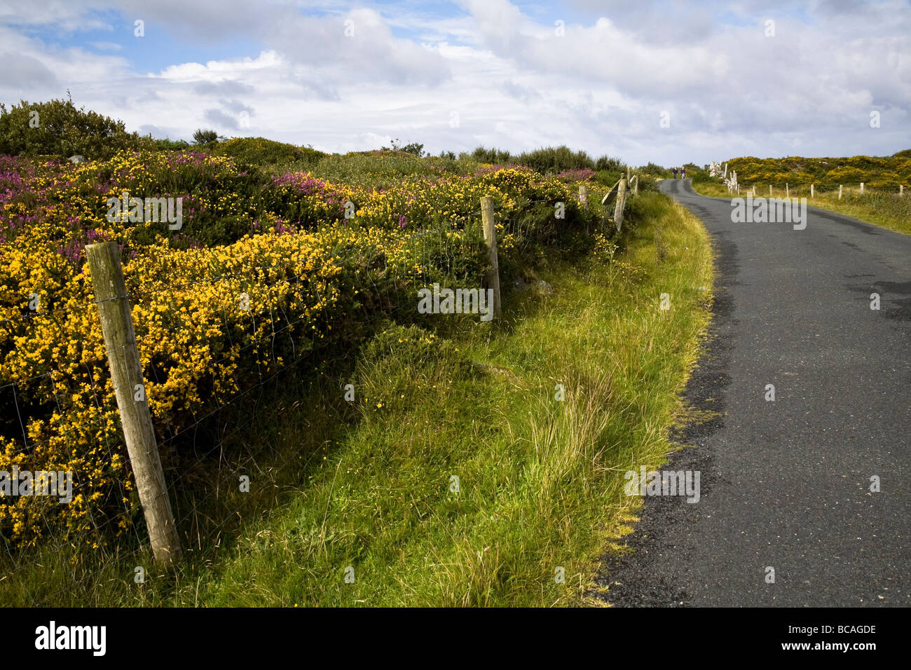 Inagh valley hi-res stock photography and images - Alamy