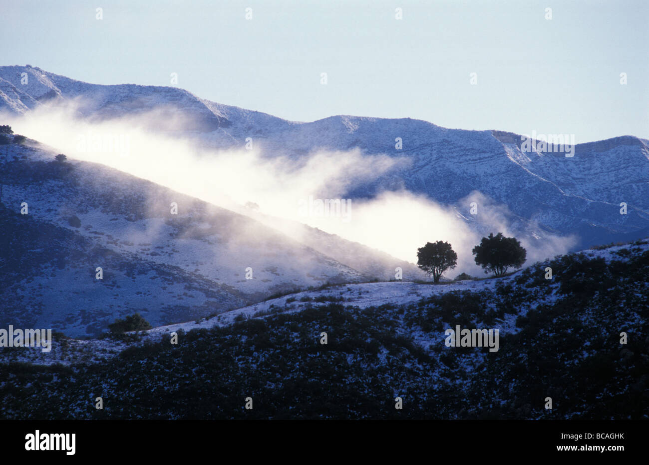 Snow covered Santa Ynez Mountains and backlit oak trees Stock Photo - Alamy
