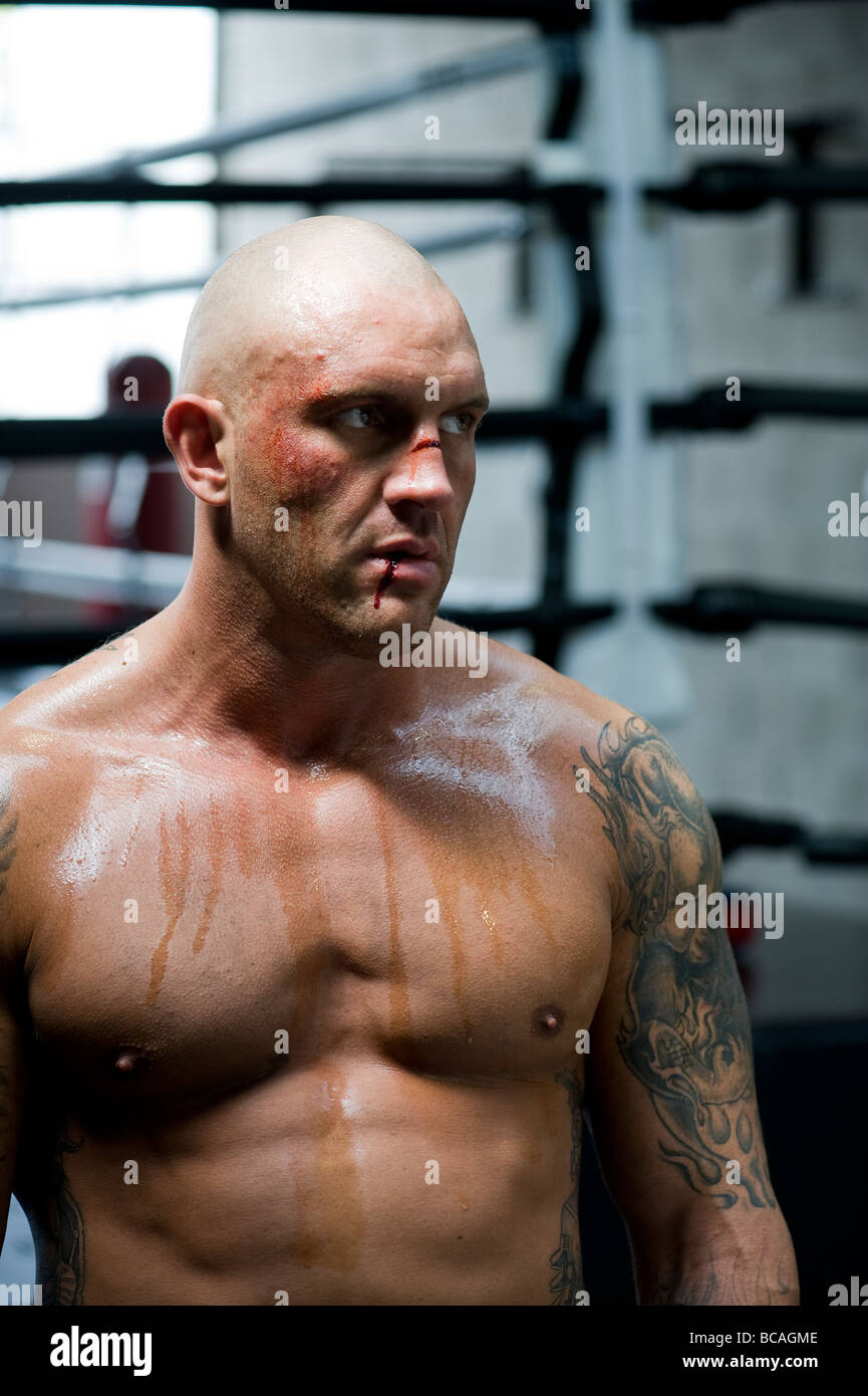 Ultimate fighting hi-res stock photography and images - Alamy