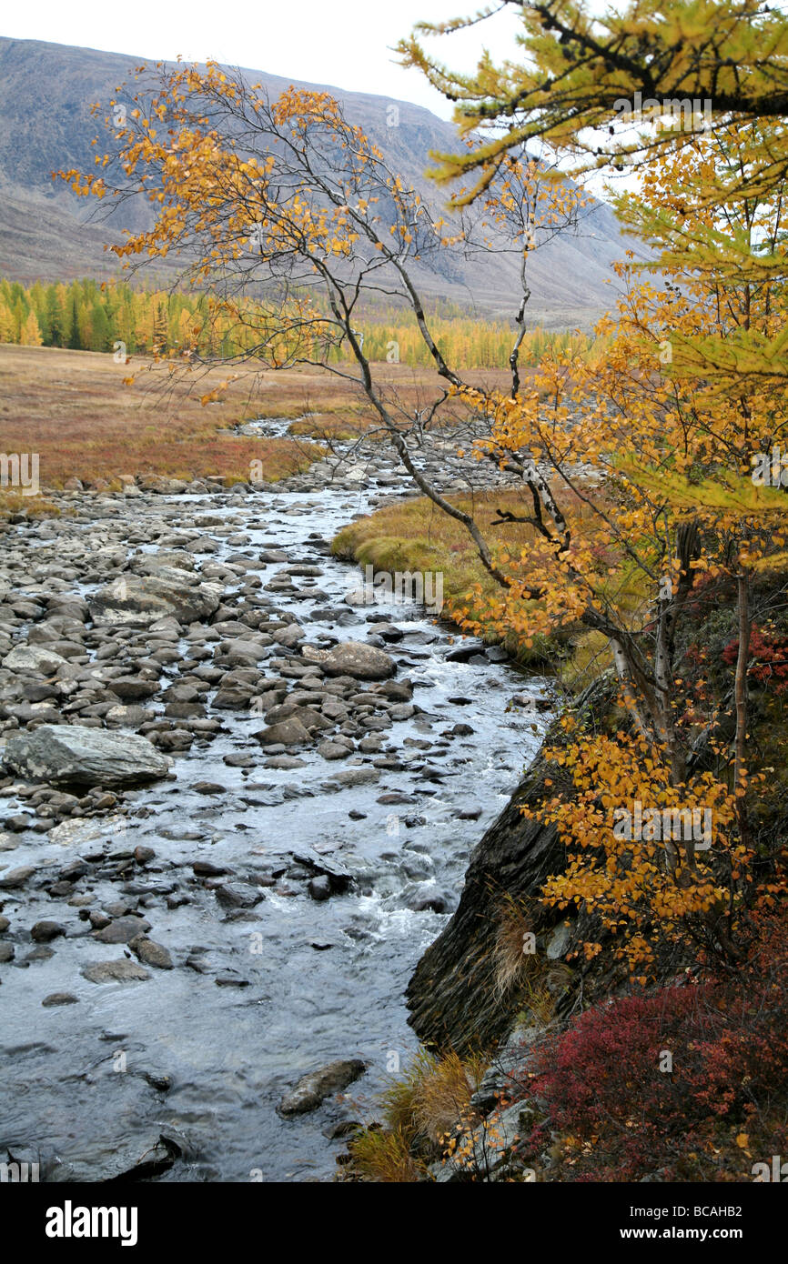 Polar Urals, Tyumen region, North of West Siberia, Russia Stock Photo ...