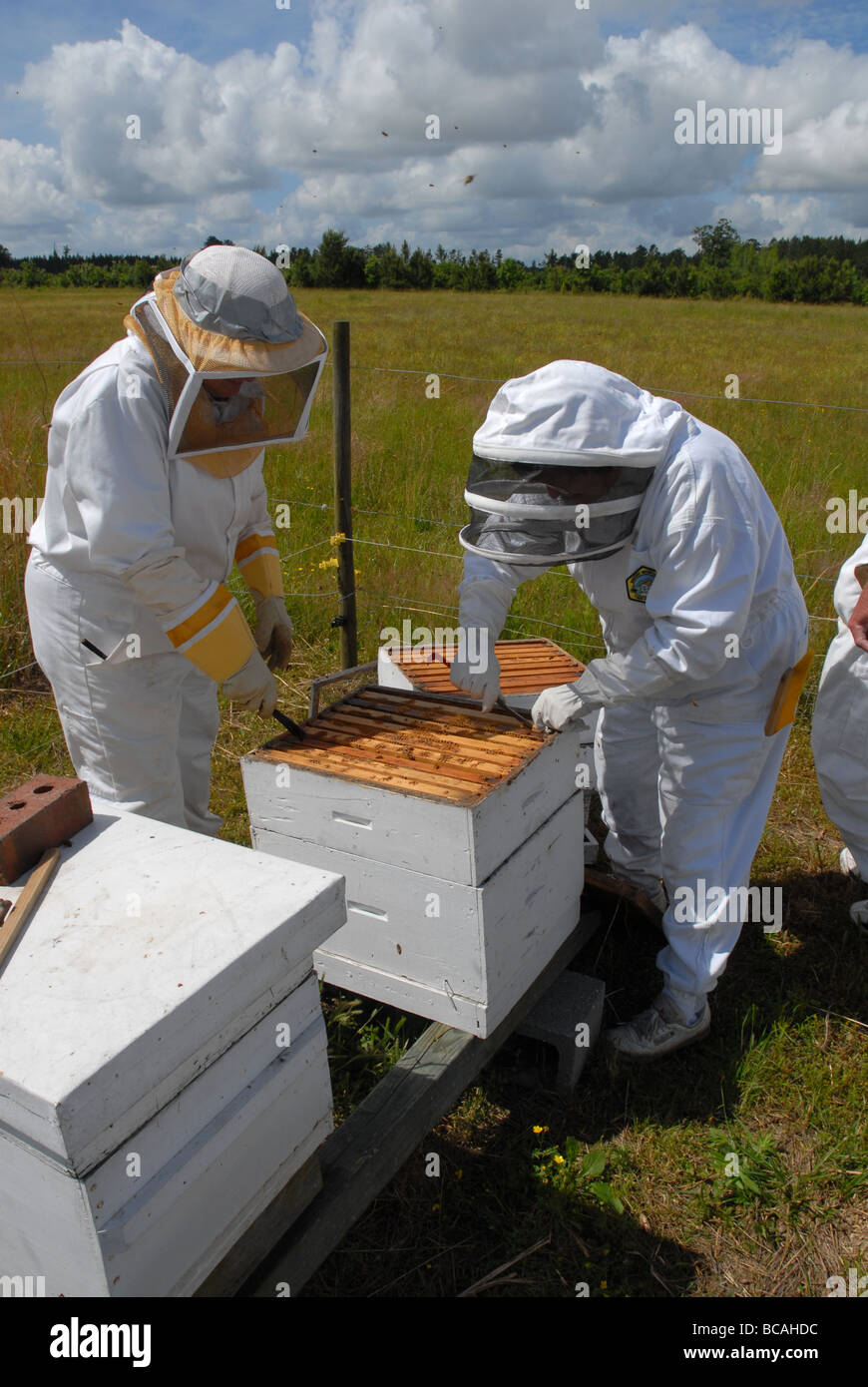 Beekeepers Suit High Resolution Stock Photography and Images - Alamy