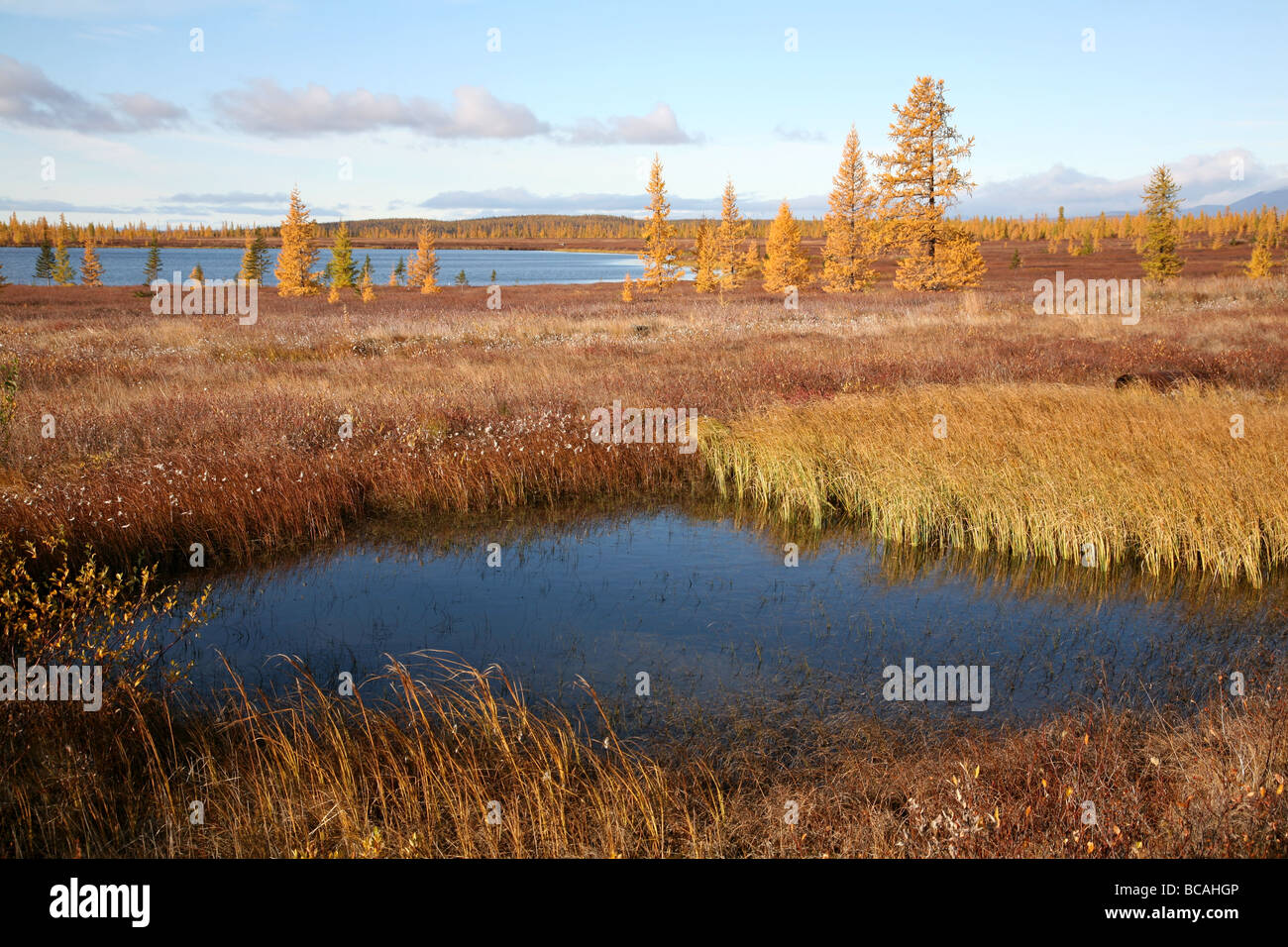 Yamal peninsula siberia hi-res stock photography and images - Alamy