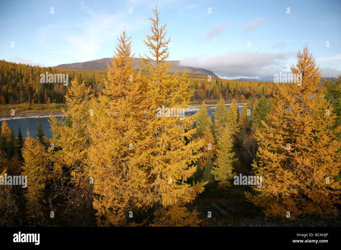 West of urals hi-res stock photography and images - Alamy