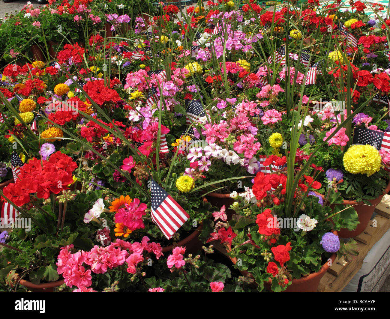 Colorful flowerbeds hi-res stock photography and images - Alamy