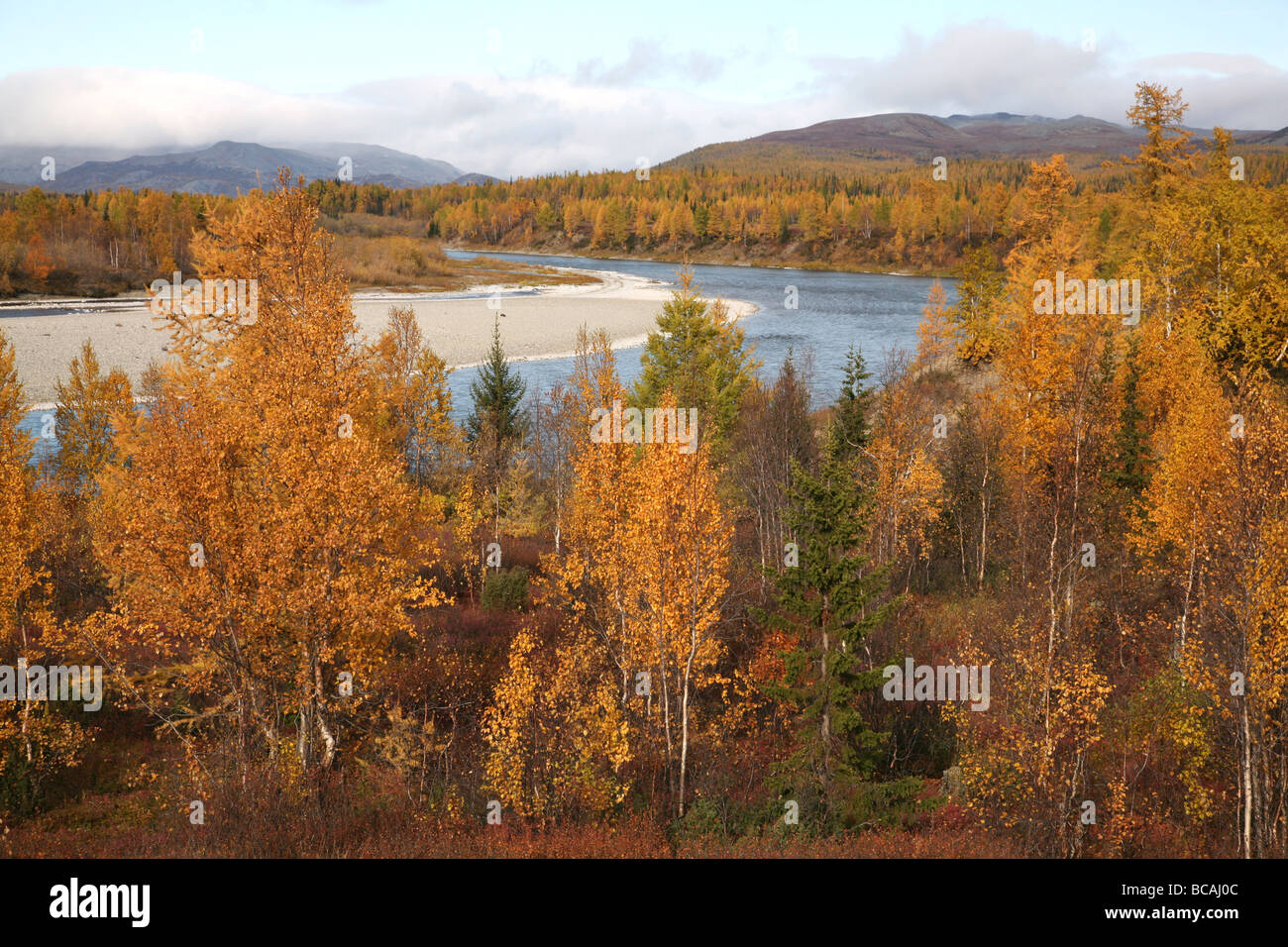 Polar Urals, Tyumen region, North of West Siberia, Russia Stock Photo ...