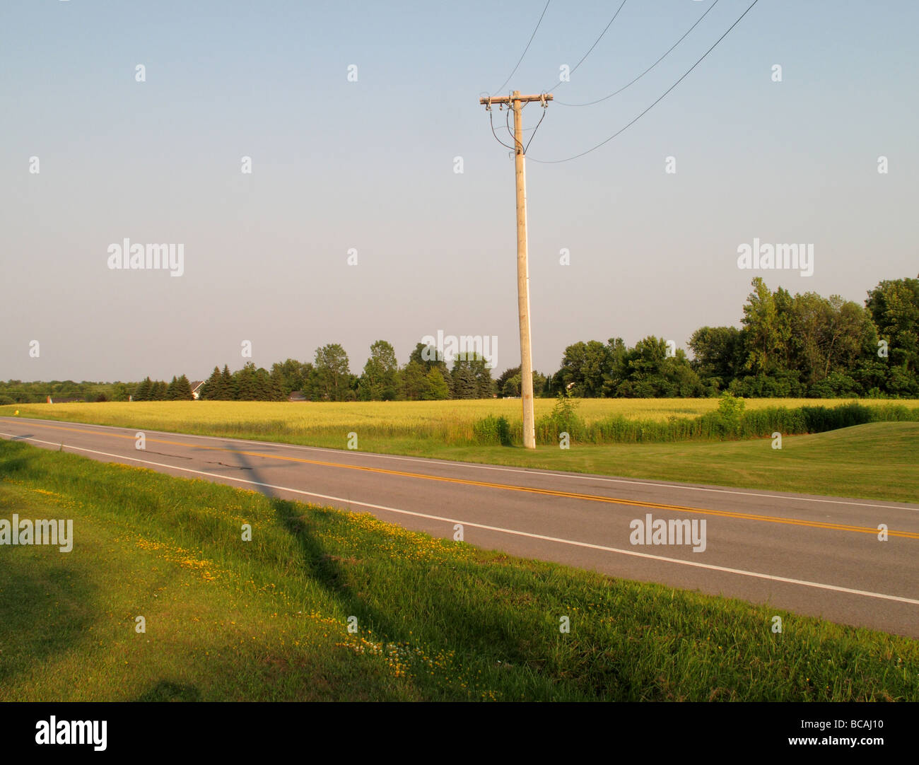 Rural road with utility pole Stock Photo - Alamy
