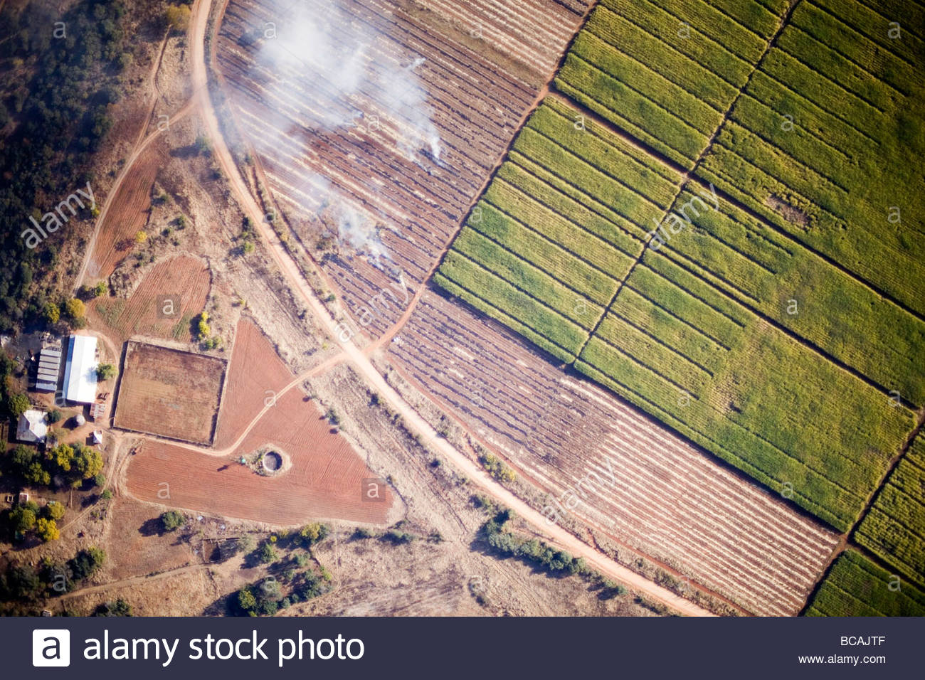 Swaziland Agriculture Stock Photos & Swaziland Agriculture Stock Images ...