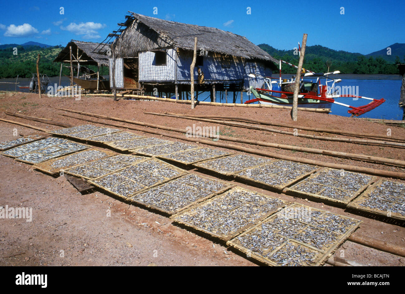 dried fish honda bay palawan philippines Stock Photo - Alamy