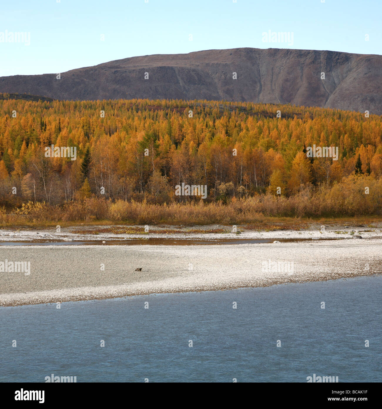 Russia north ural river hi-res stock photography and images - Alamy