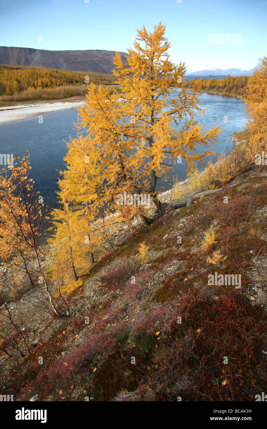 Russia north ural river hi-res stock photography and images - Alamy