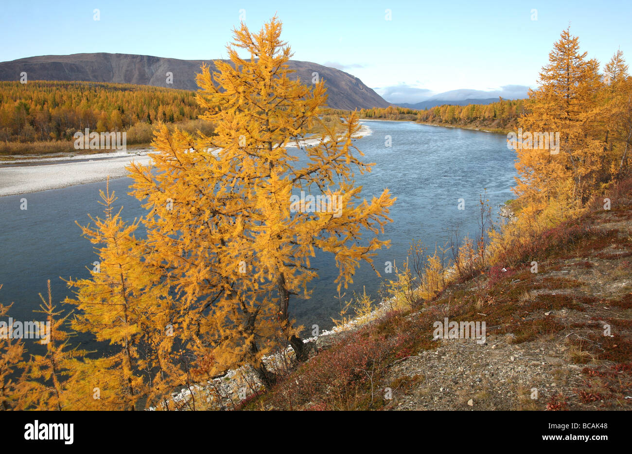 Russia north ural river hi-res stock photography and images - Alamy