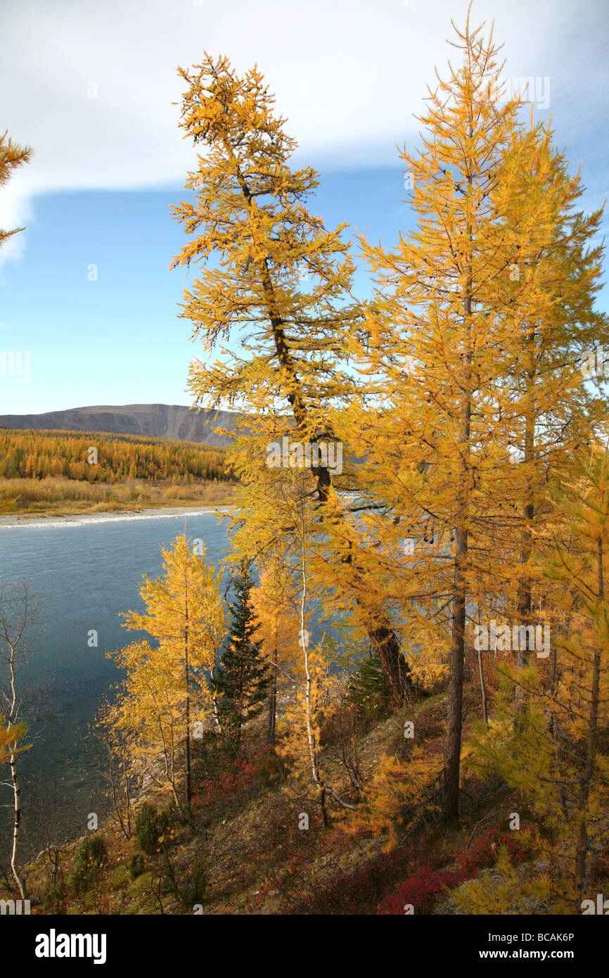 Russia north ural river hi-res stock photography and images - Alamy