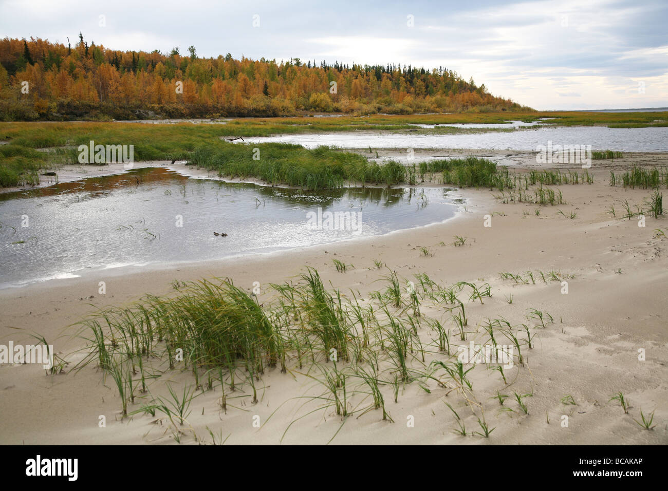 Yamal Peninsula, Tyumen region, North of West Siberia, Russia Stock ...