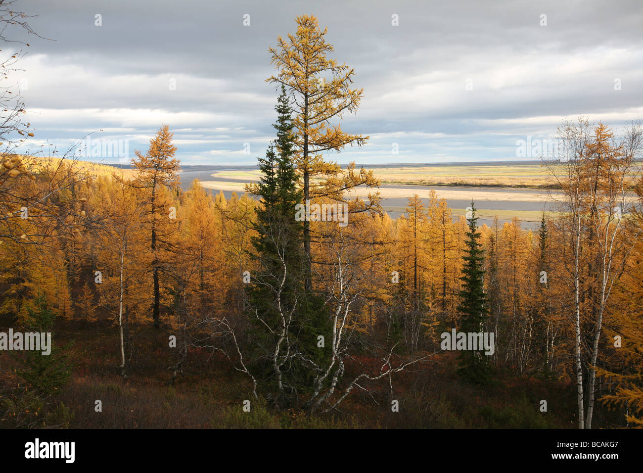 Yamal Peninsula, Tyumen region, North of West Siberia, Russia Stock ...