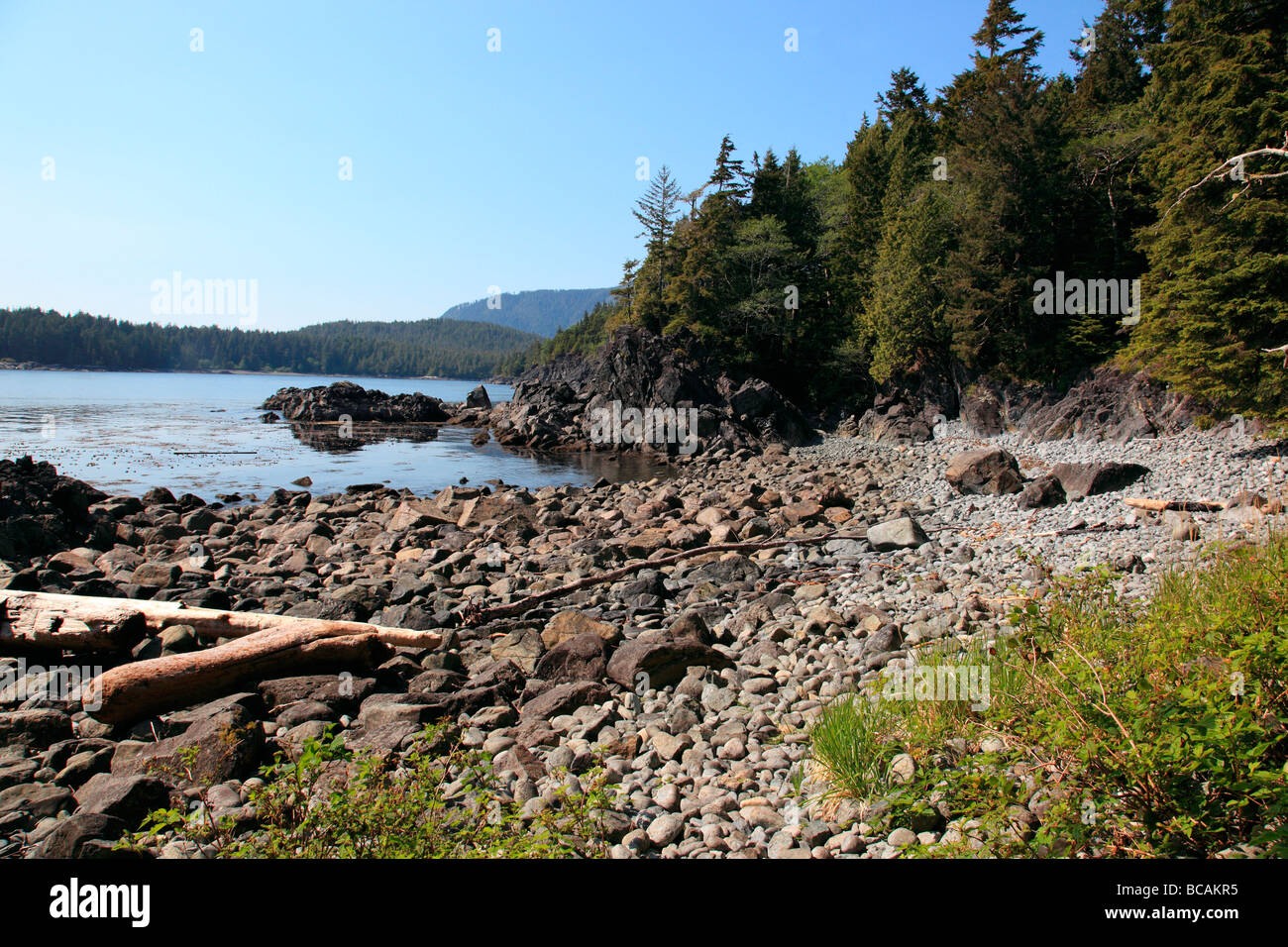 Rocky beach forest hi-res stock photography and images - Alamy