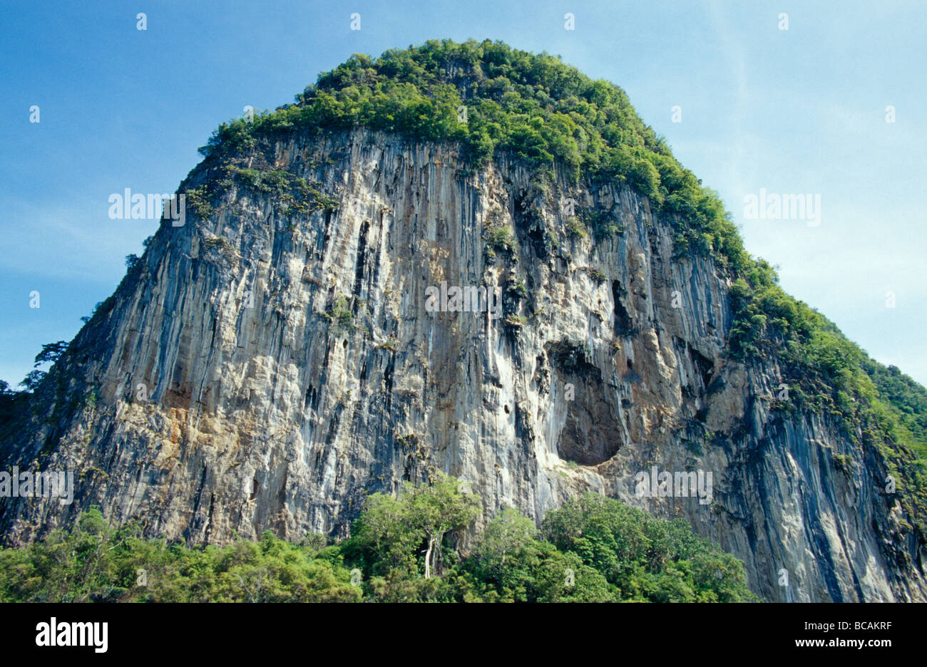 Tropical rainforest caps a limestone island emerging from blue seas ...