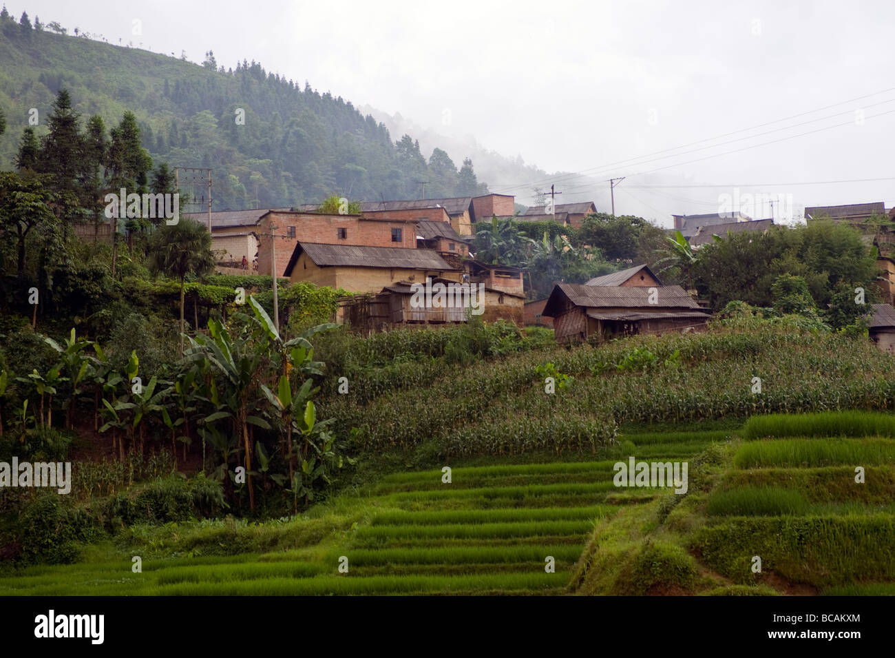 Rural Scene in Southern Yunnan Province, China, near the Vietnam Border ...