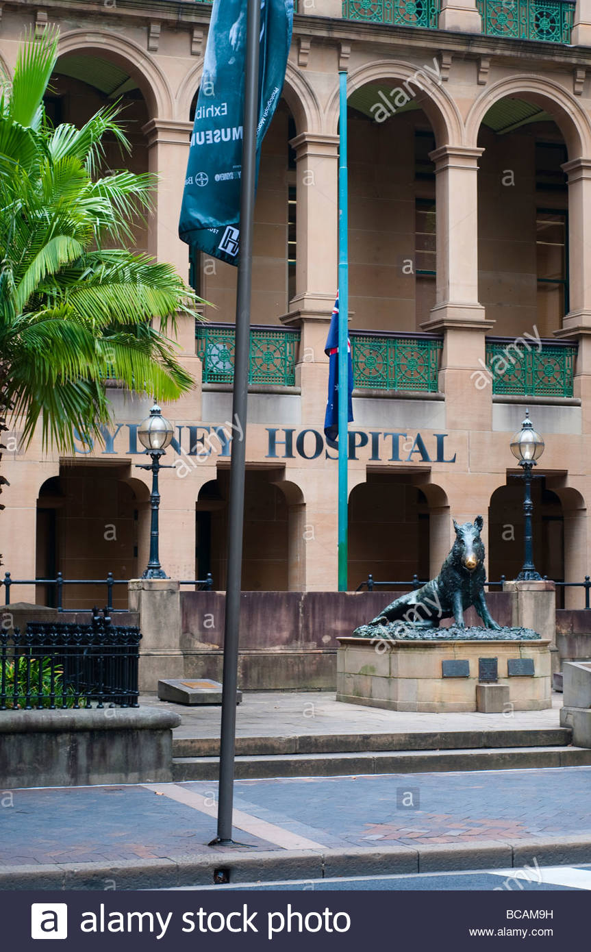 Sydney Hospital Stock Photos & Sydney Hospital Stock Images - Alamy