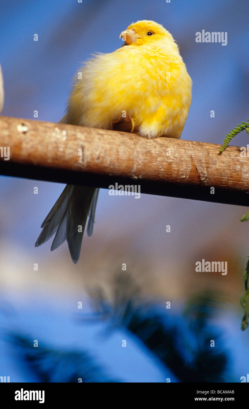 Contentedly hi-res stock photography and images - Alamy