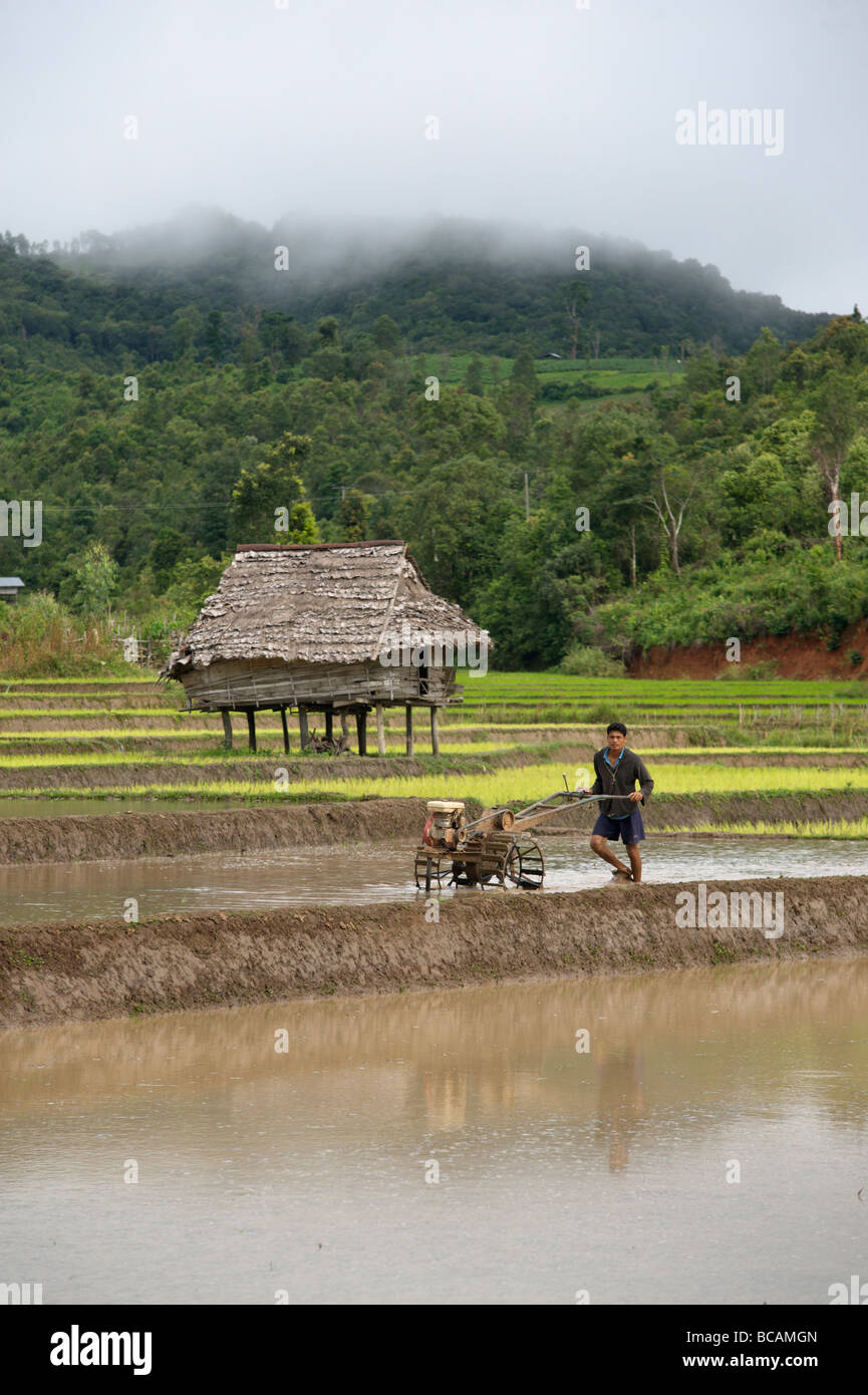 Rice plough hi-res stock photography and images - Alamy