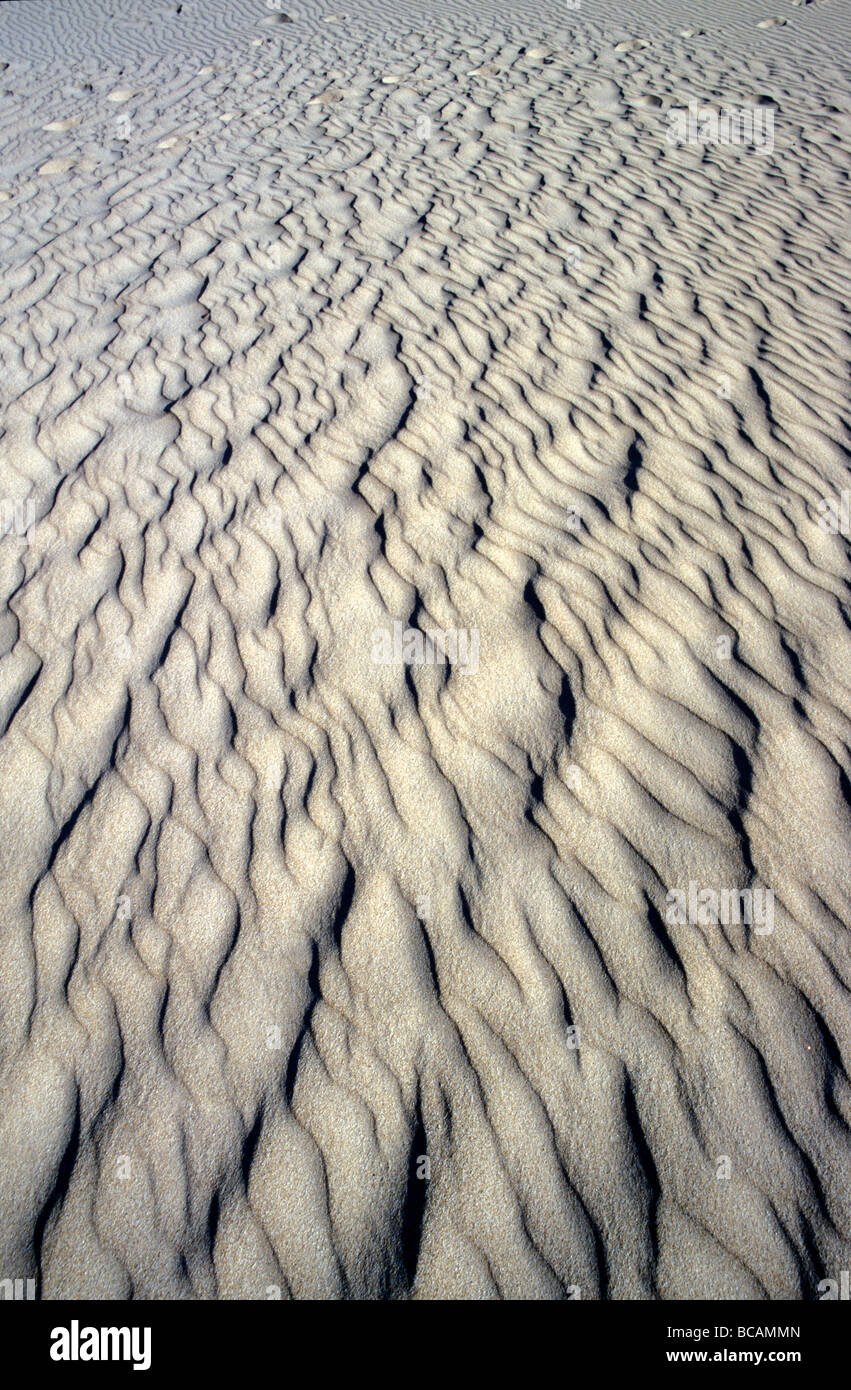 Wind blown ripples form complex patterns on the white sand of a dune ...