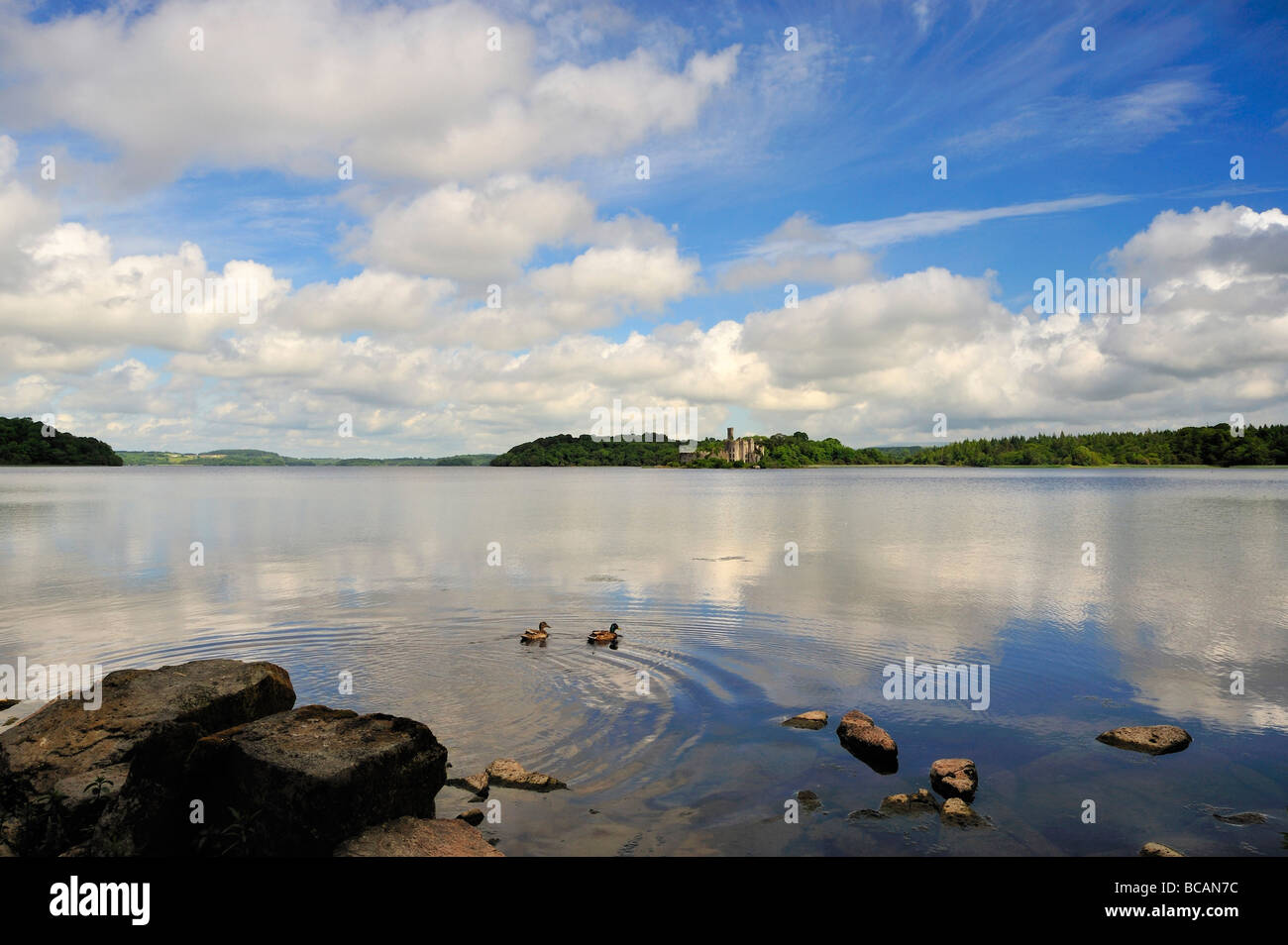 Lough key ireland hi-res stock photography and images - Alamy