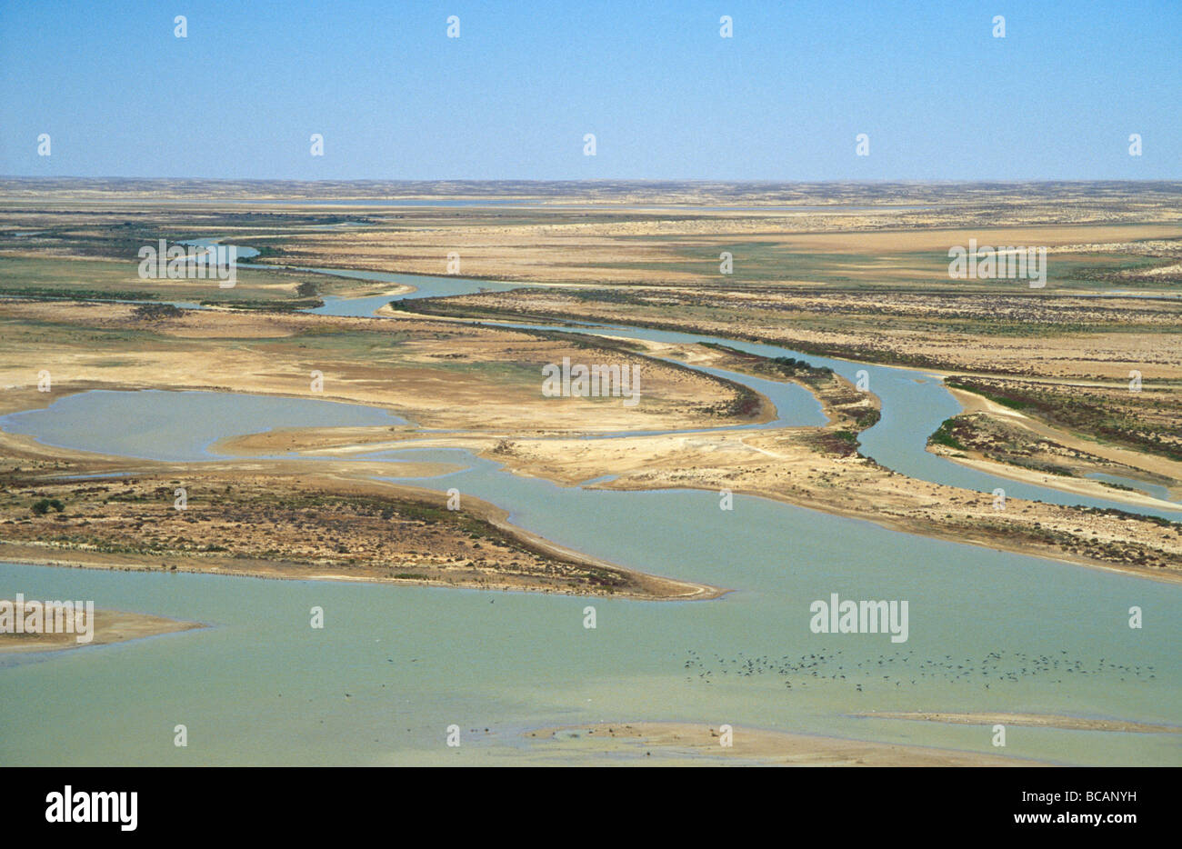 Salt lake park cormorants hi-res stock photography and images - Alamy