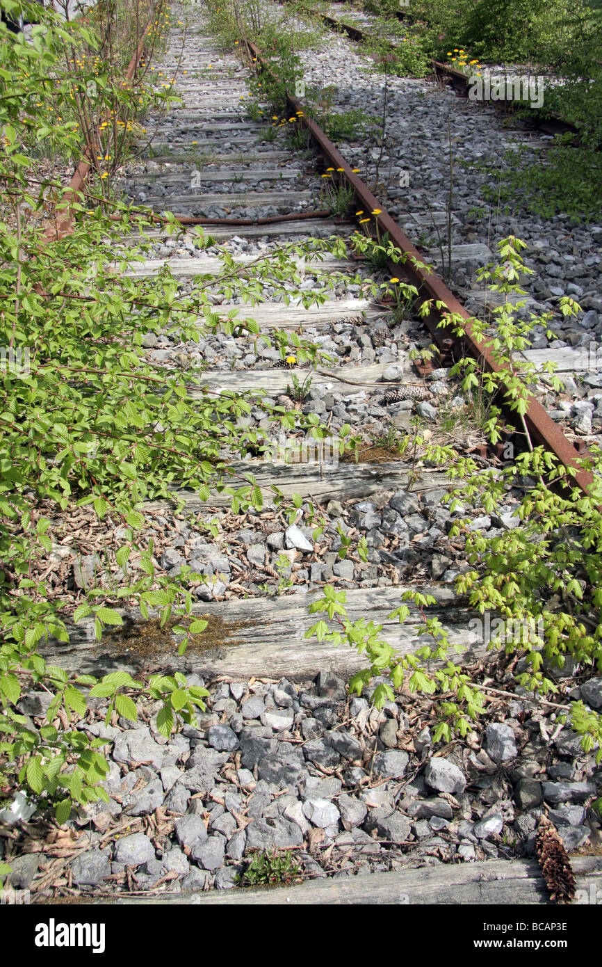 Overgrown rail lines hi-res stock photography and images - Alamy