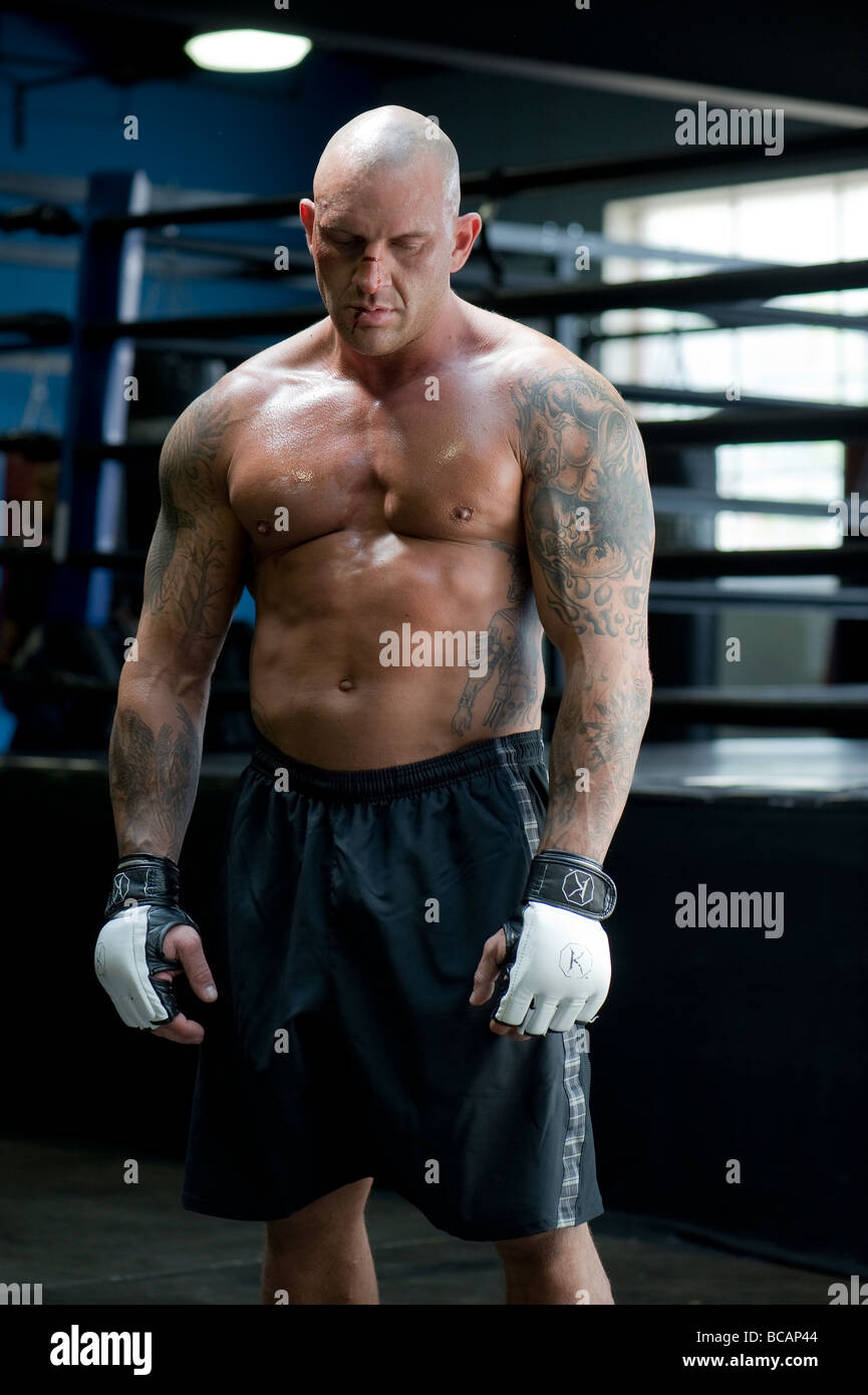 Ultimate fighting hi-res stock photography and images - Alamy