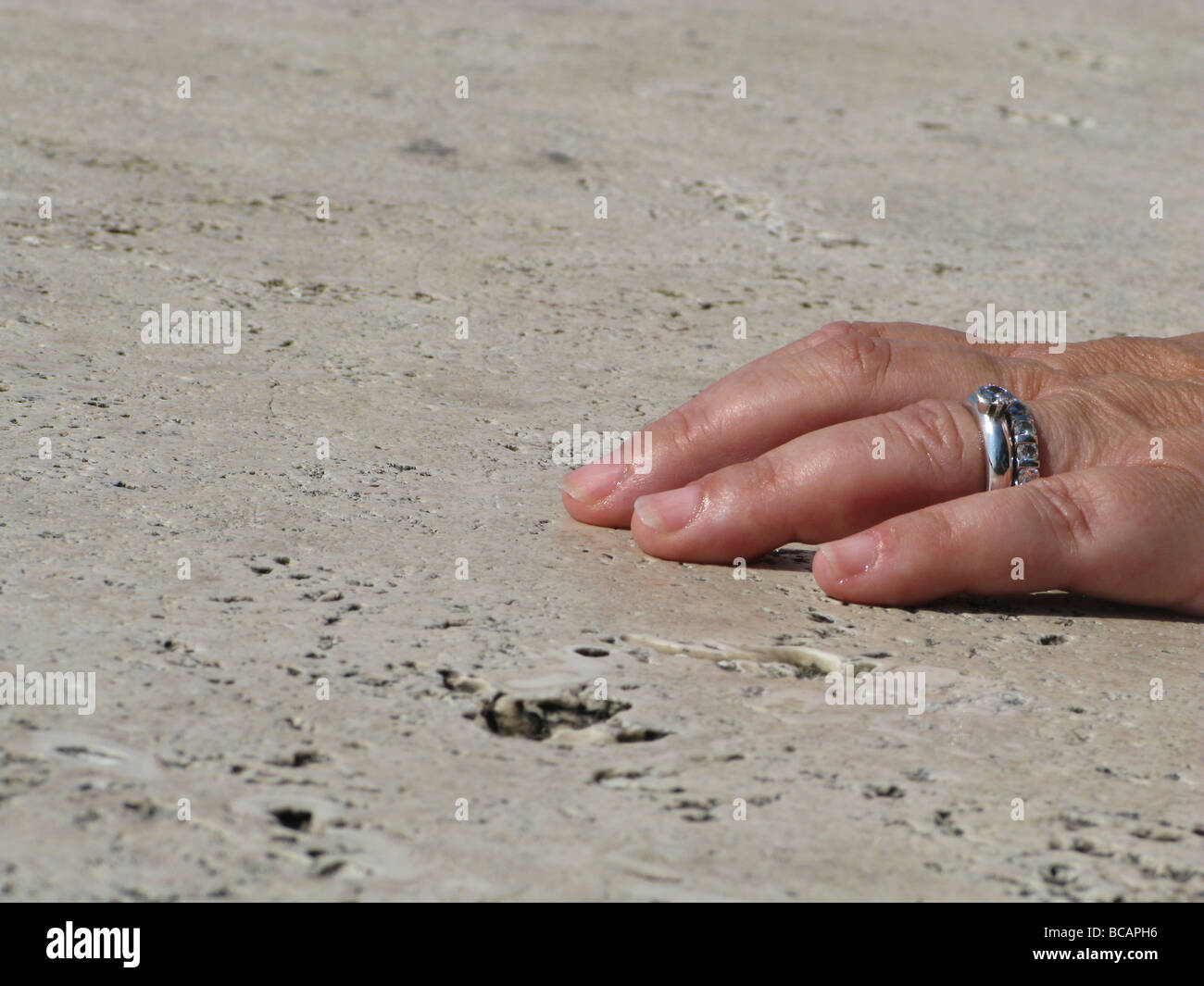 Old woman hand wearing rings hi-res stock photography and images - Alamy