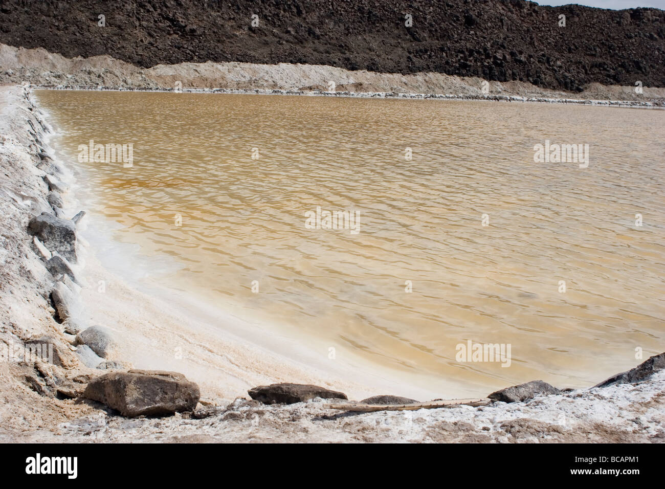 Elidar, Afar region, salt flats near Eritrean border in Ethiopia Stock ...