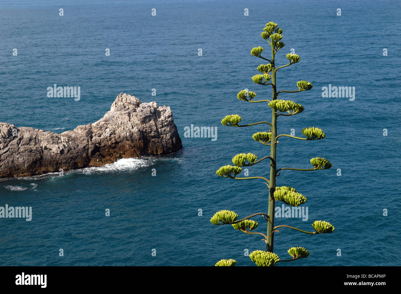 Portovenere (La Spezia), the cape Stock Photo - Alamy